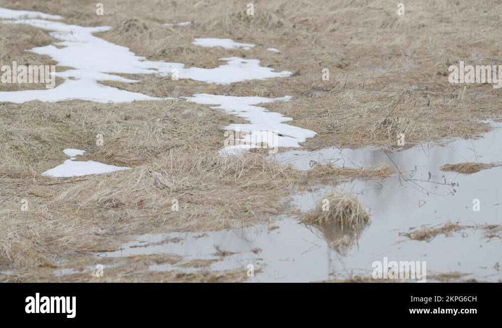 Snow patches on the ground Stock Videos & Footage - HD and 4K Video ...