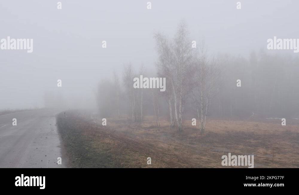 Field road with fog in spring Stock Videos & Footage - HD and 4K Video ...