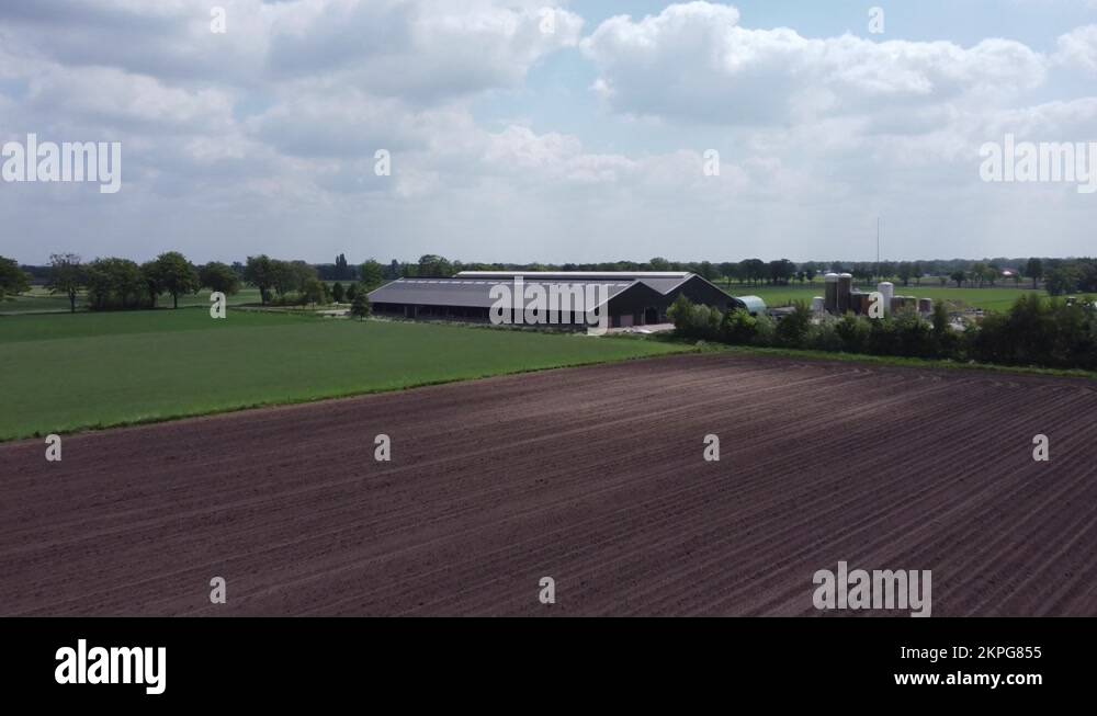 Dairy farm in netherlands Stock Videos & Footage - HD and 4K Video ...