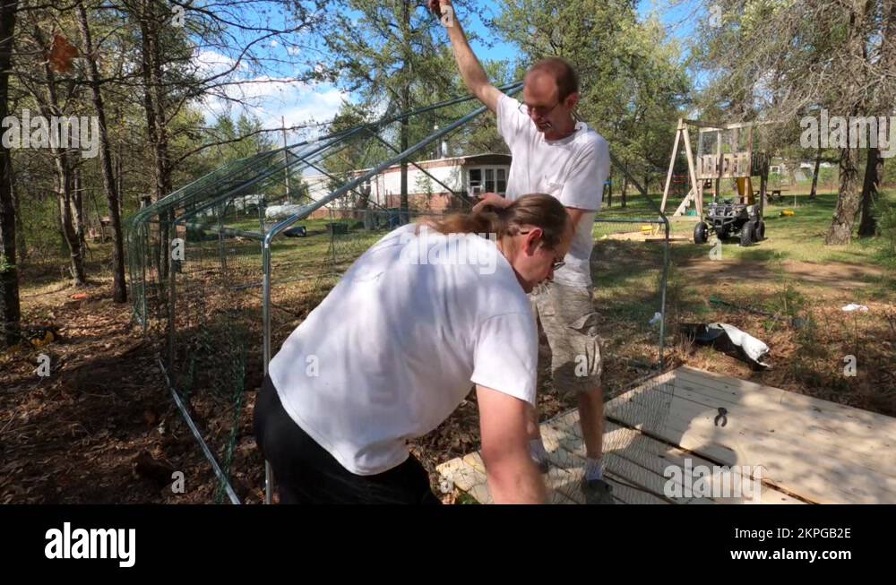 Two men using steel frame and net to build large enclosure for chickens ...