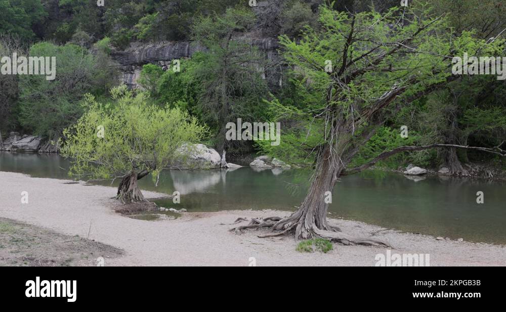 Texas hill country trees Stock Videos & Footage - HD and 4K Video Clips ...