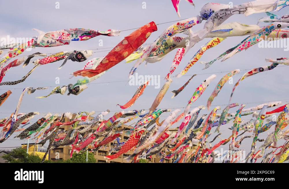 Koi nobori carp Stock Videos & Footage - HD and 4K Video Clips - Alamy