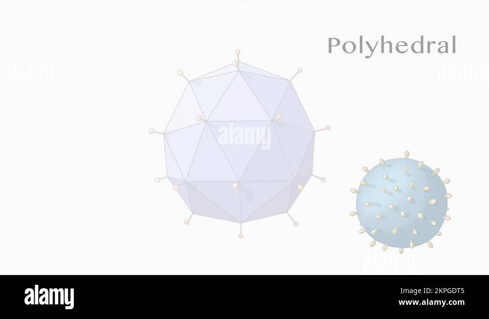 Shapes of Viruses, Animation, Labeled Stock Video Footage - Alamy