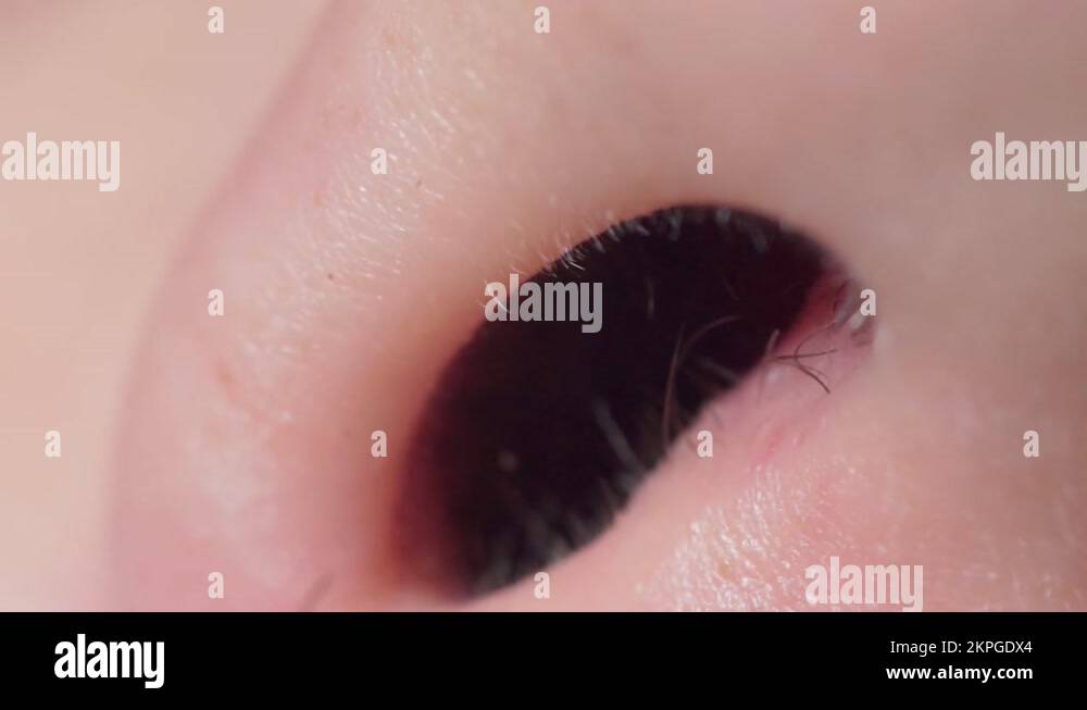 Nostril human Stock Videos & Footage - HD and 4K Video Clips - Alamy