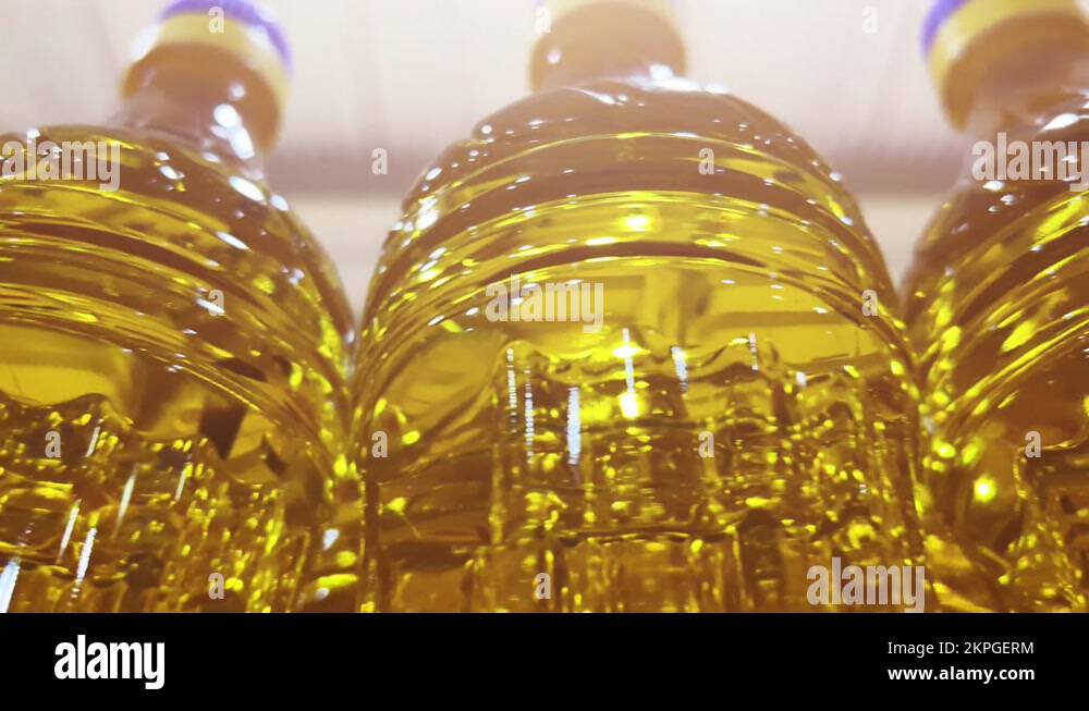 Sunflower or corn oil in plastic bottles line up on the shelf in a ...