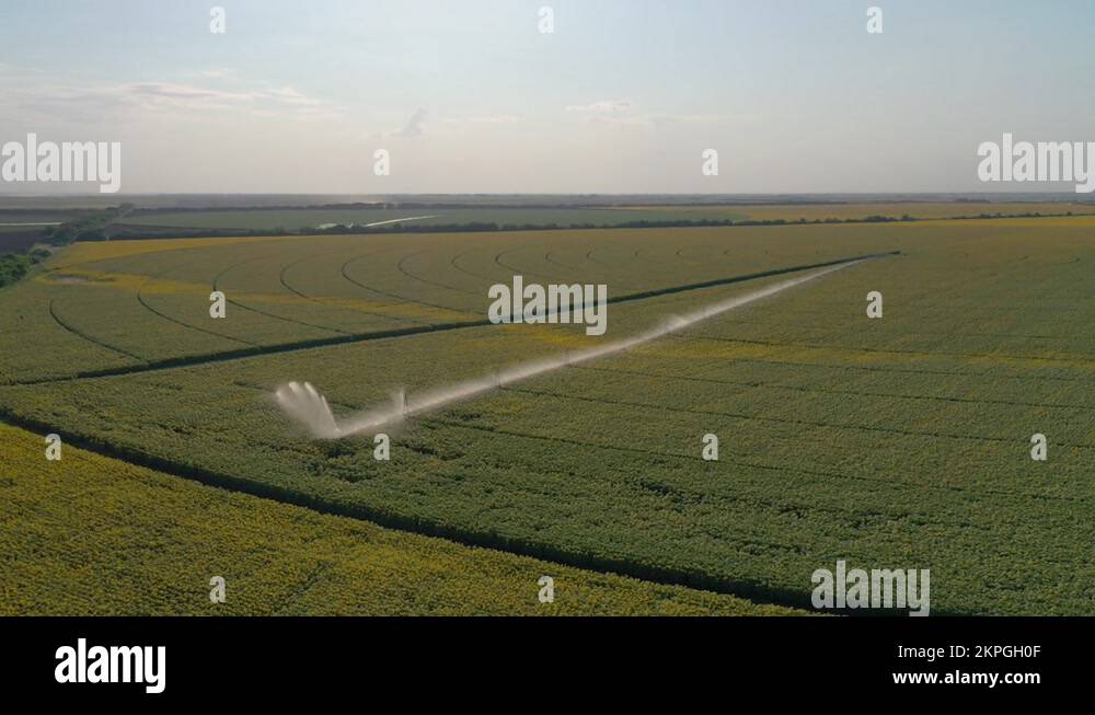 Circular field irrigation Stock Videos & Footage - HD and 4K Video ...