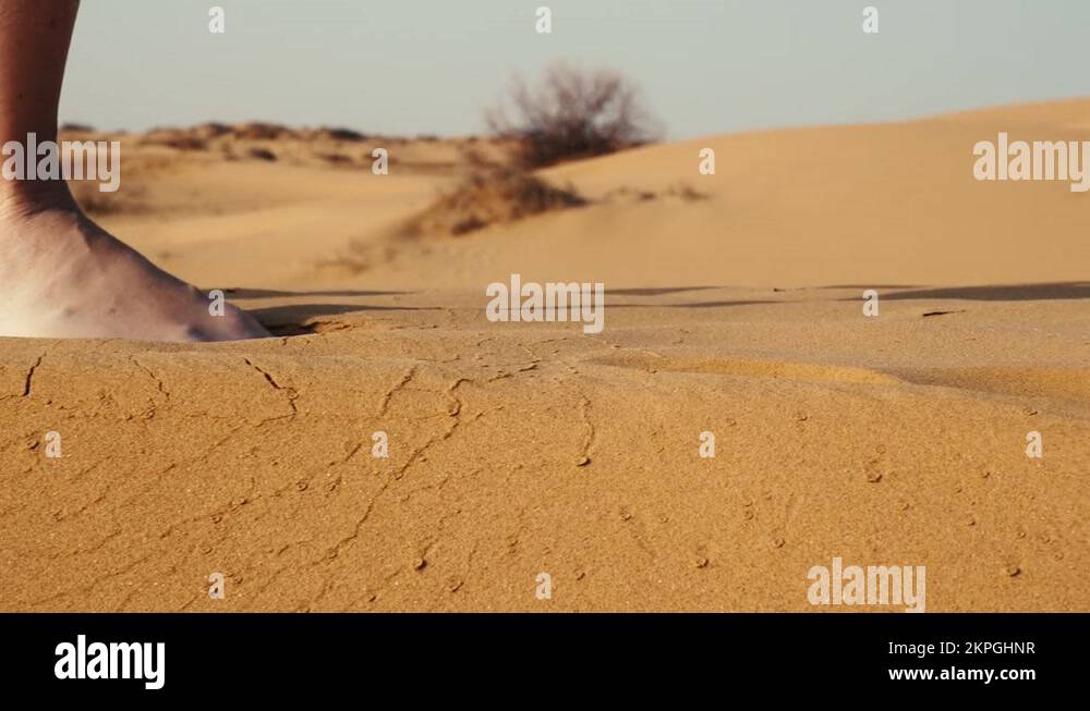 Female legs go on sand in desert. Girls feet step Stock Video Footage ...
