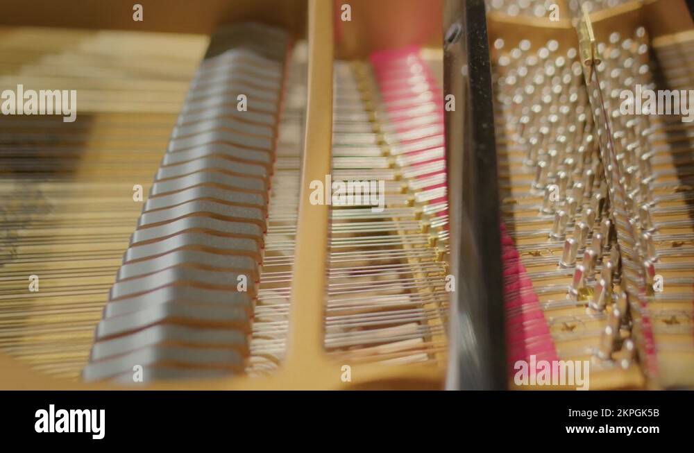 Grand chord Stock Videos & Footage - HD and 4K Video Clips - Alamy