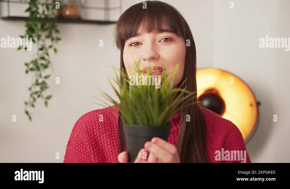 Cute funny caucasian woman with long dark brown hair hiding her face ...