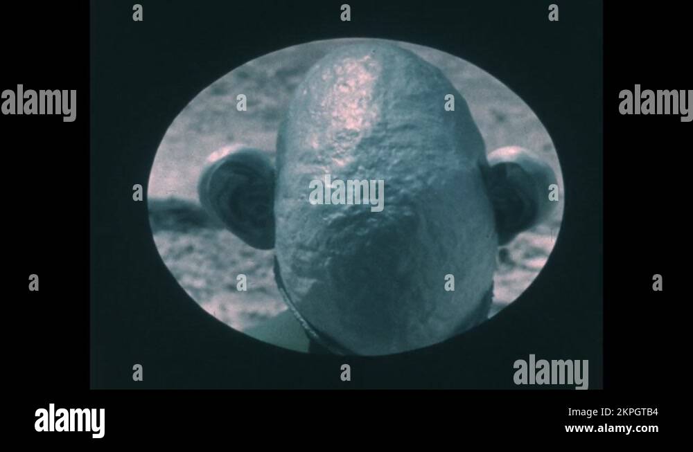 1960s: Alien being with no face touches head and bends and touches toes ...