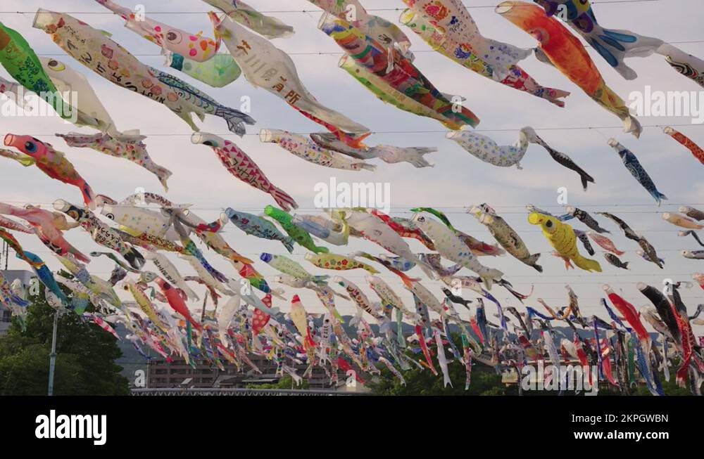 Koi kites Stock Videos & Footage - HD and 4K Video Clips - Alamy