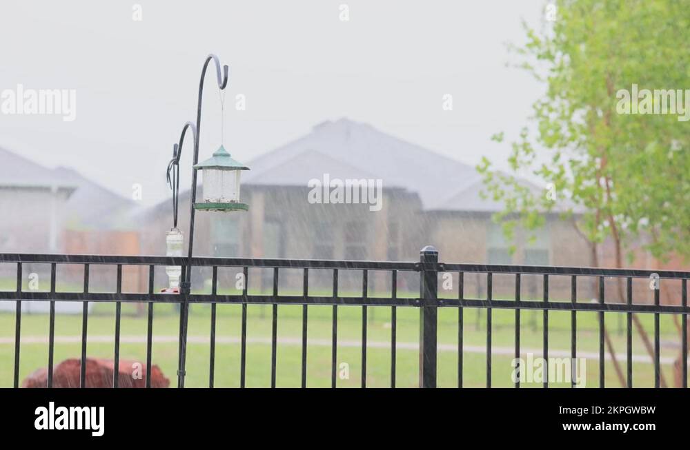 Raining ice Stock Videos & Footage - HD and 4K Video Clips - Alamy