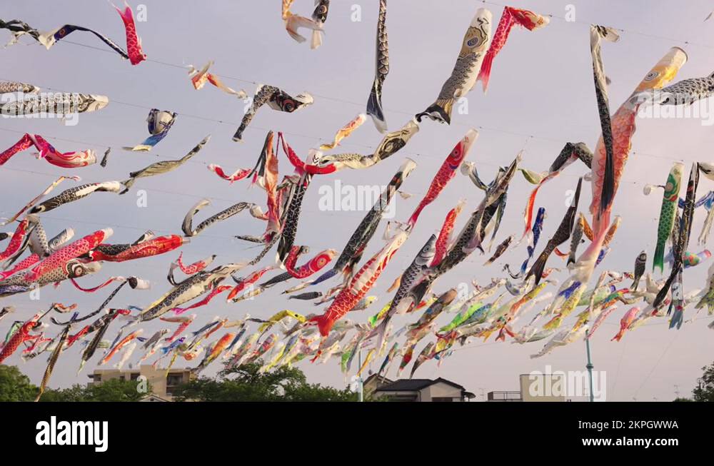 Carp flags Stock Videos & Footage - HD and 4K Video Clips - Alamy