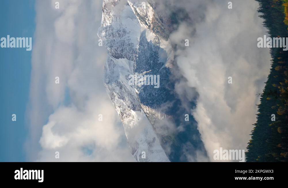 High elevation ecosystem Stock Videos & Footage - HD and 4K Video Clips ...