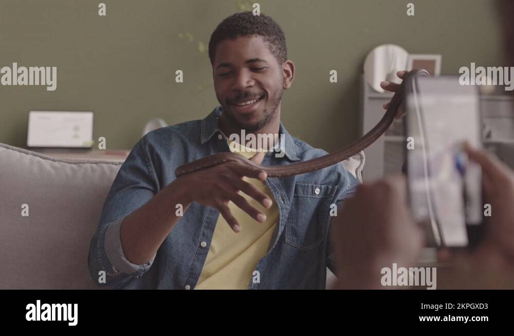 Picture of snake Stock Videos & Footage - HD and 4K Video Clips - Alamy