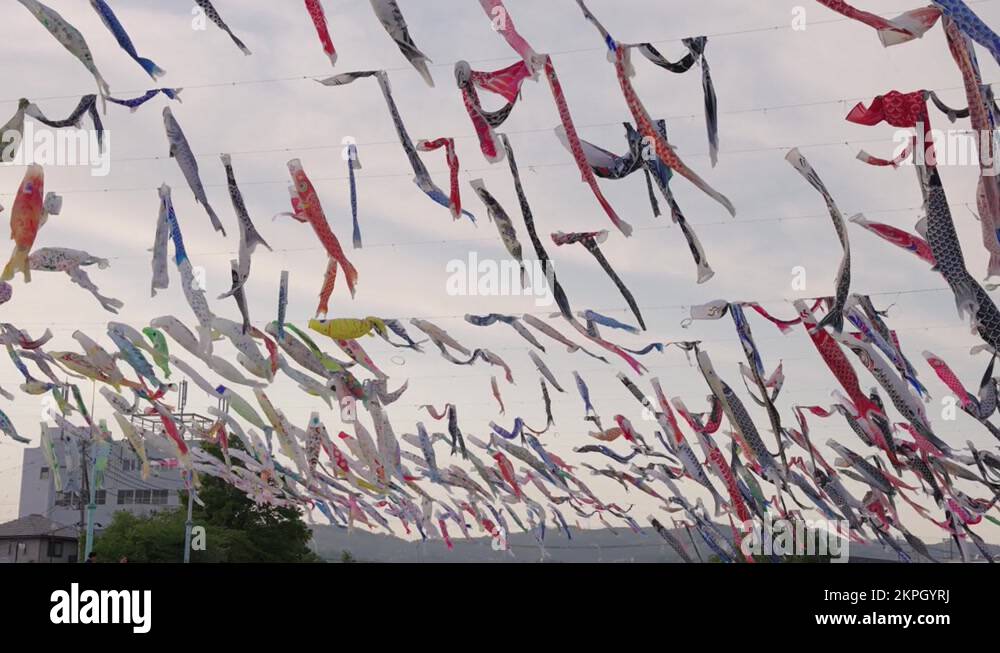 Japan koi fish Stock Videos & Footage - HD and 4K Video Clips - Alamy