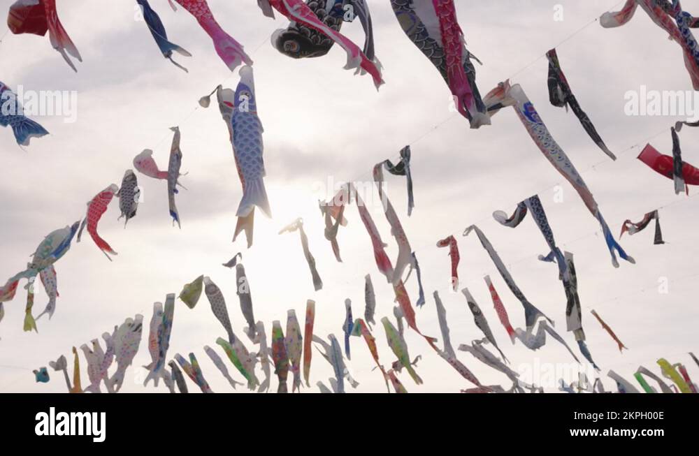 Carp kites Stock Videos & Footage - HD and 4K Video Clips - Alamy