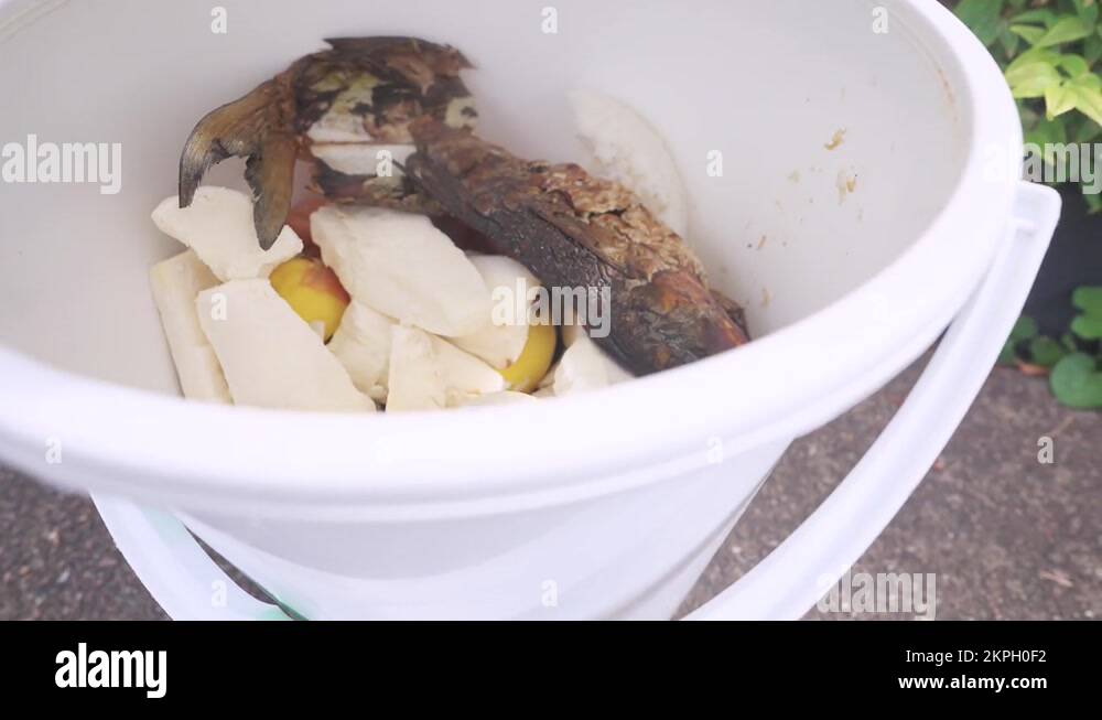 Food scrap Stock Videos & Footage - HD and 4K Video Clips - Alamy
