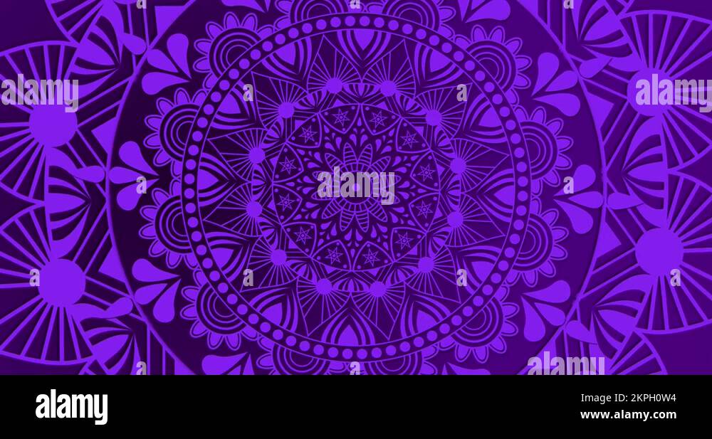 Flower radial symmetry Stock Videos & Footage - HD and 4K Video Clips ...