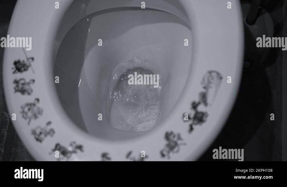 Flushing Toilet With Seat Up at Phyllis Lange blog