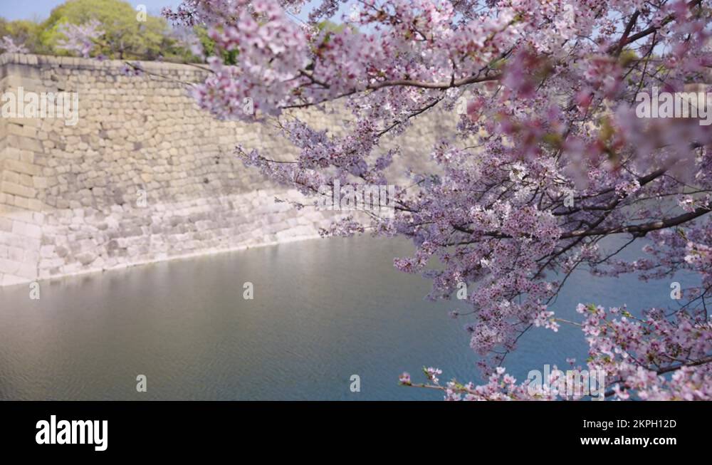 Osaka castle moat Stock Videos & Footage - HD and 4K Video Clips - Alamy