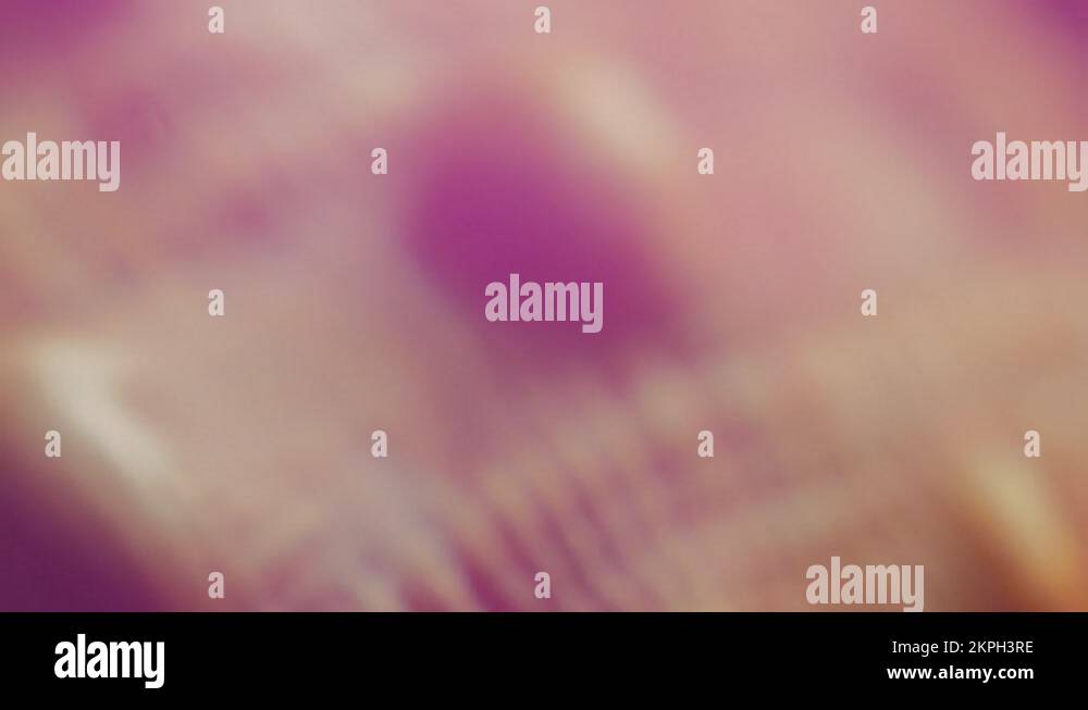 Seashell surface Stock Videos & Footage - HD and 4K Video Clips - Alamy