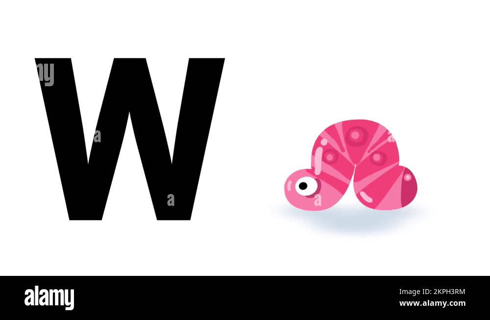 Animal w Stock Videos & Footage - HD and 4K Video Clips - Alamy