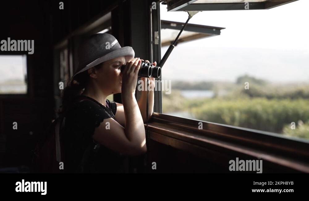 Wildlife observation birding adventure Stock Videos & Footage - HD and ...