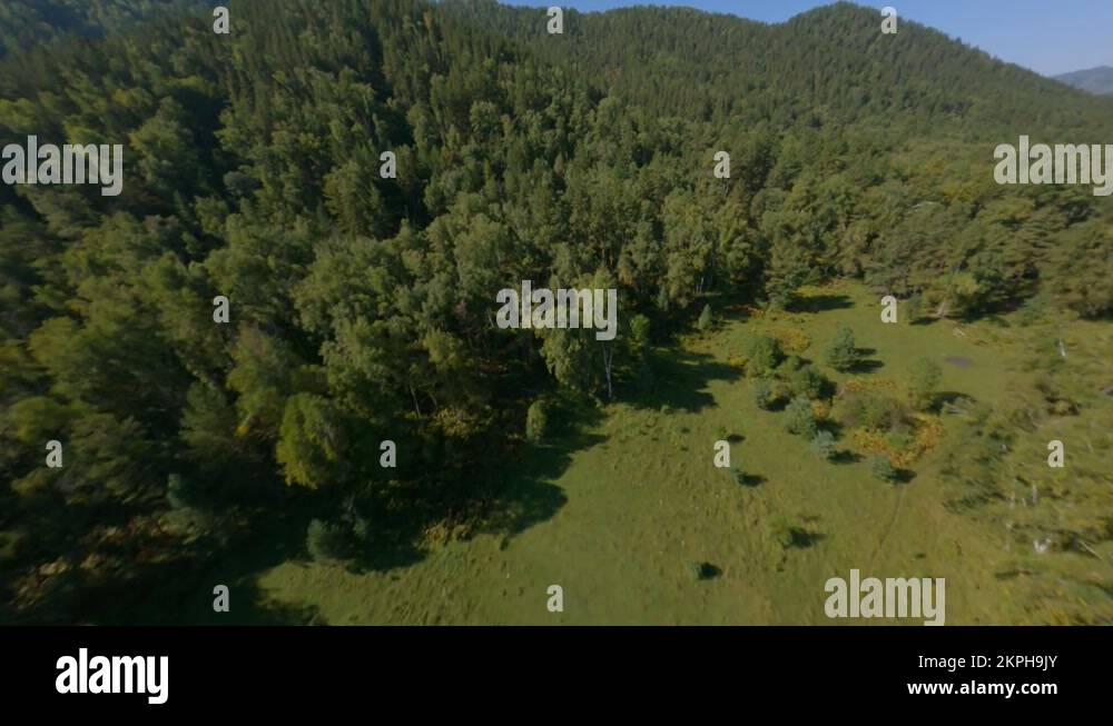 Ecology sunny Stock Videos & Footage - HD and 4K Video Clips - Alamy