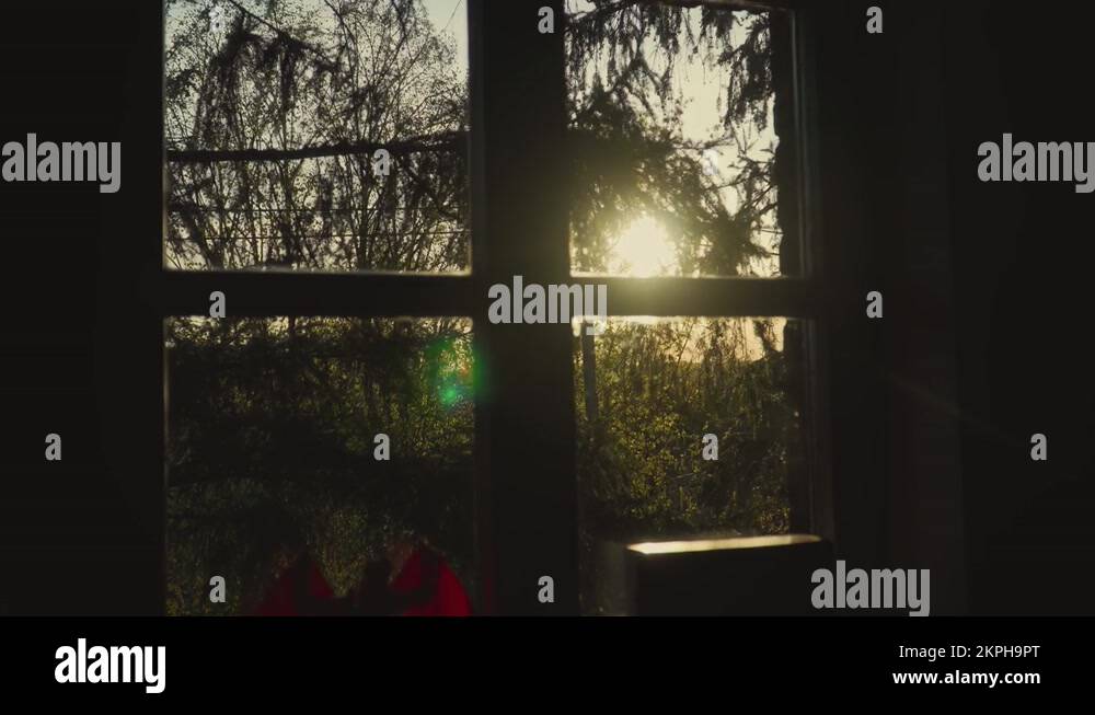 Silhouette tree branch through window Stock Videos & Footage - HD and ...