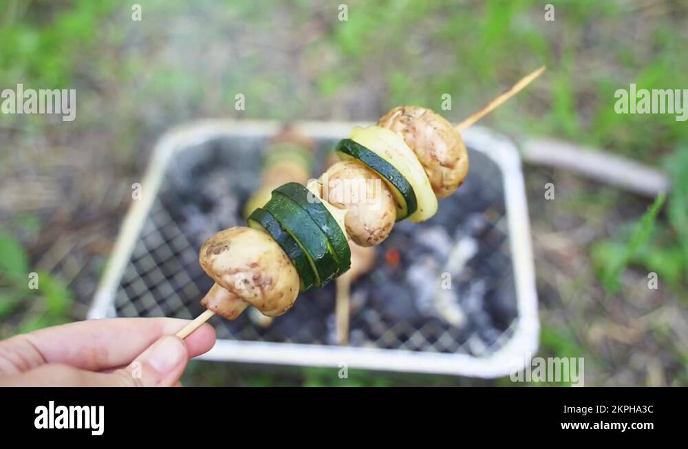 Single use grill Stock Videos & Footage - HD and 4K Video Clips - Alamy