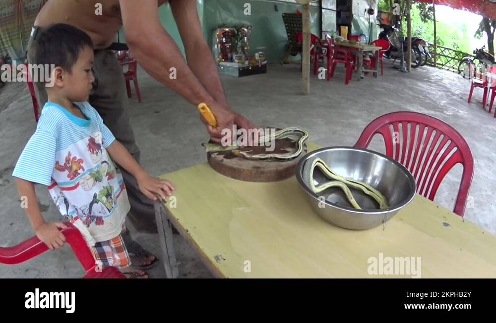 Young boy is looking how Chef is cleaning snake before cooking it for ...