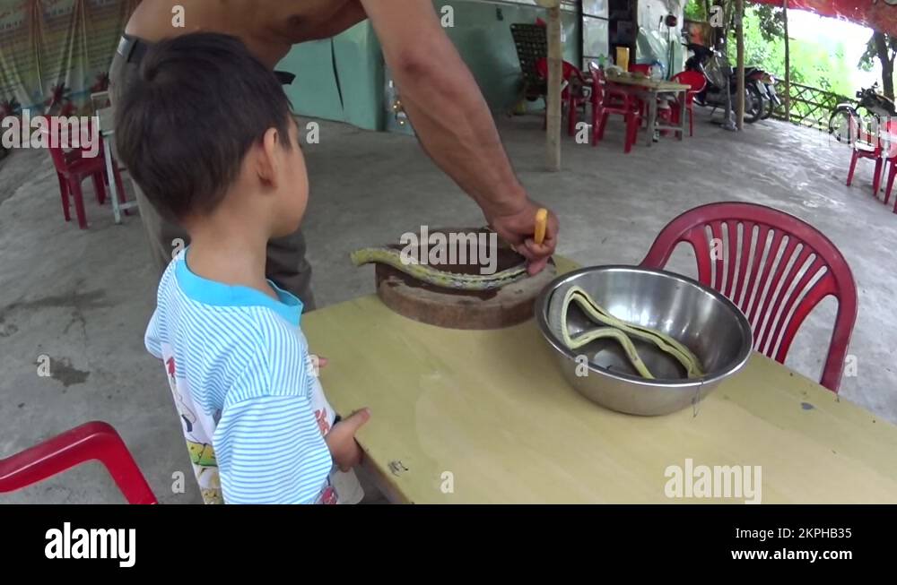 Cleaning snake Stock Videos & Footage - HD and 4K Video Clips - Alamy