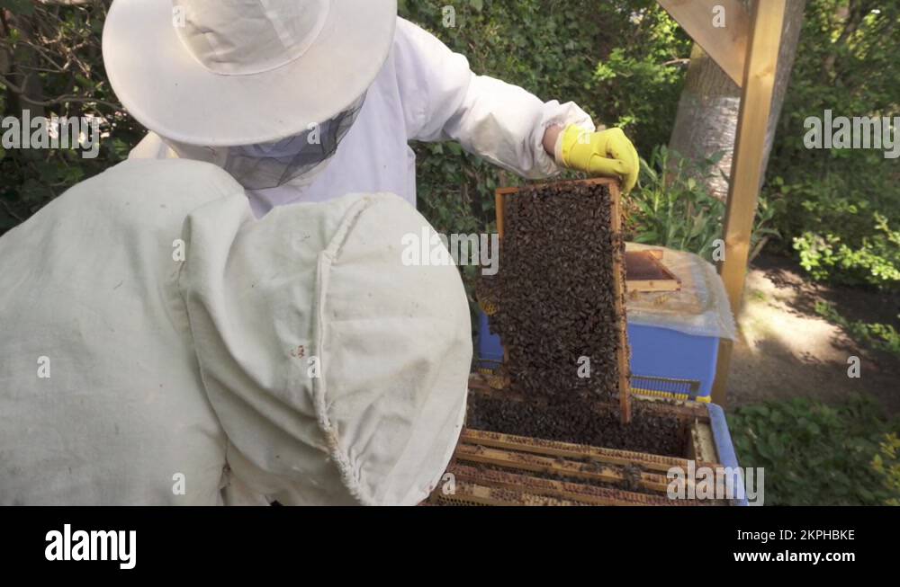 Fully frame Stock Videos & Footage - HD and 4K Video Clips - Alamy