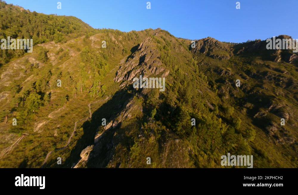 Woodland texture Stock Videos & Footage - HD and 4K Video Clips - Alamy