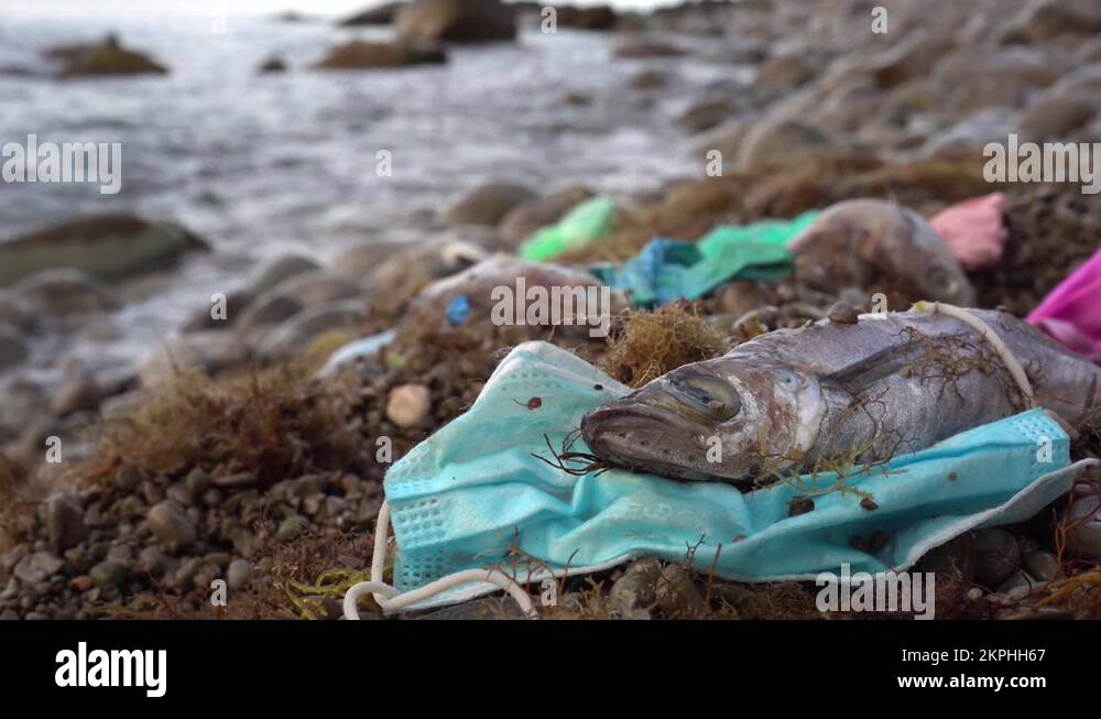 Dead man ocean shore Stock Videos & Footage - HD and 4K Video Clips - Alamy