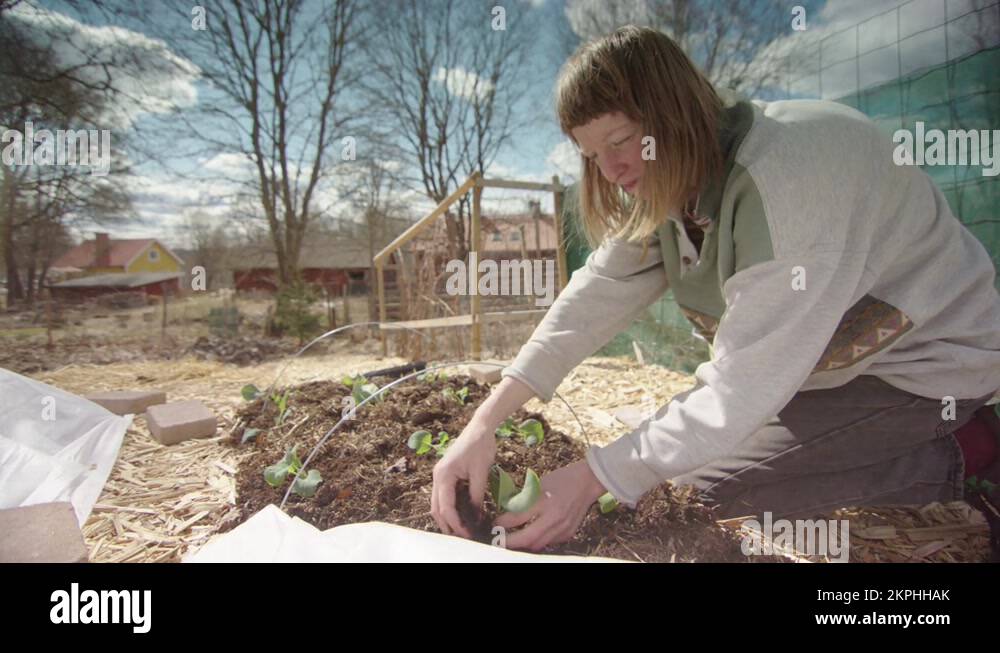 Female self sufficiency Stock Videos & Footage - HD and 4K Video Clips ...