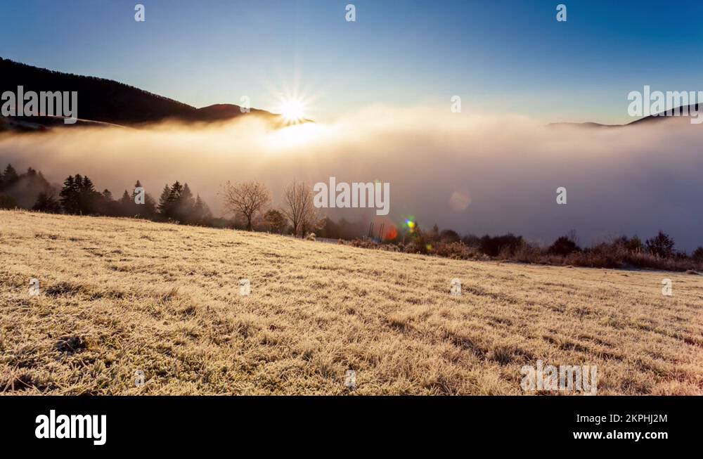 Summer sun light and scenic fog and dawn Stock Videos & Footage - HD ...