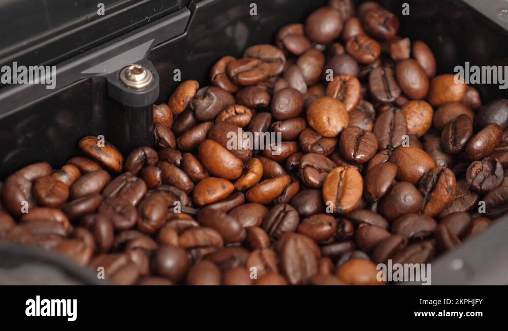Coffee beans shaking in coffee machine while grinding. Making process ...