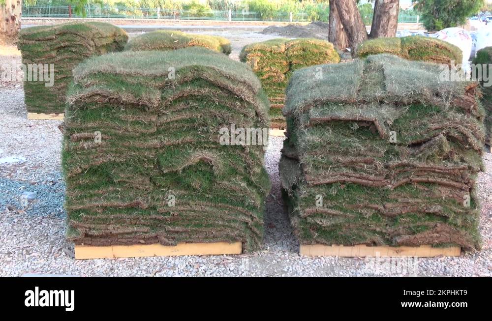 Soil layers grass Stock Videos & Footage - HD and 4K Video Clips - Alamy