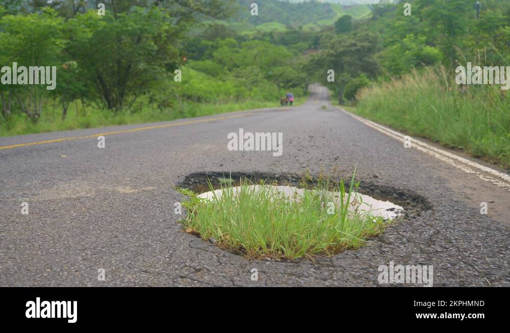Water hole in the middle of the jungle Stock Videos & Footage - HD and ...