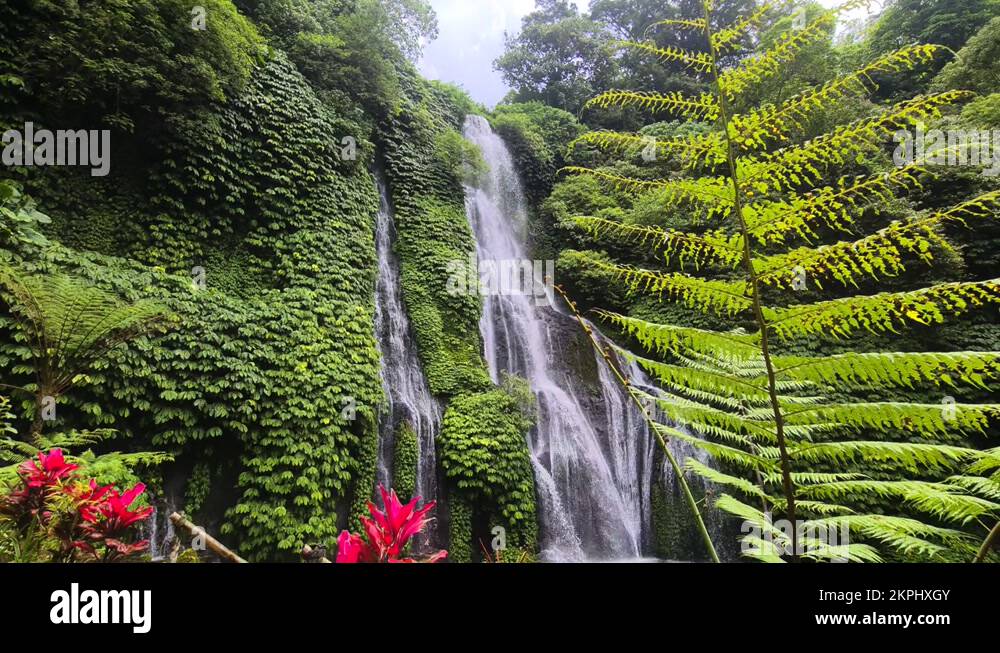 Banyumala Twin Waterfalls, Bali Island, Indonesia. Breathtaking Falls ...