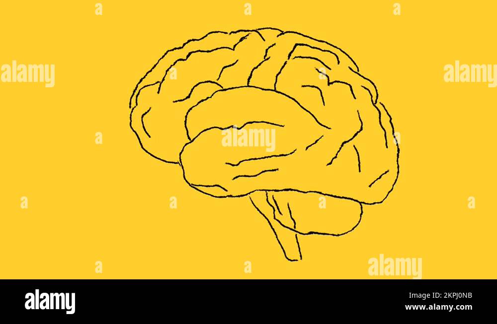 Brain memory illustration Stock Videos & Footage - HD and 4K Video ...