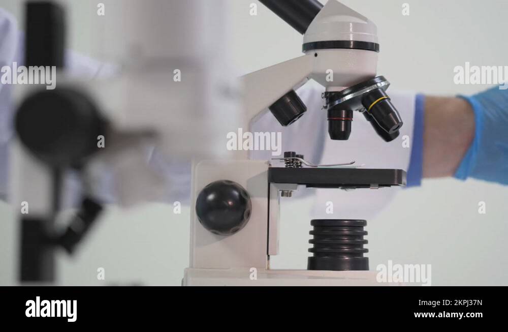 Dosing sample and adjusting microscope lens to study it in the lab ...