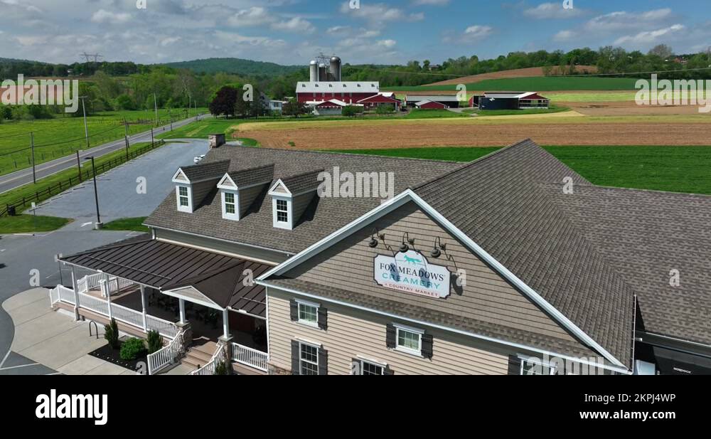 Ice fox in summer Stock Videos & Footage - HD and 4K Video Clips - Alamy