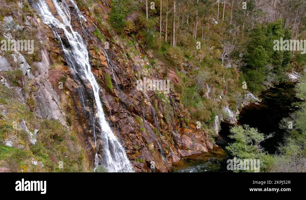 Forests of galicia Stock Videos & Footage - HD and 4K Video Clips - Alamy