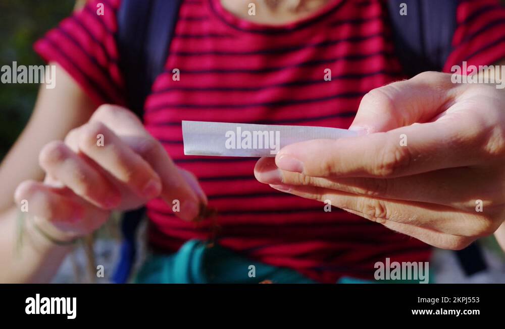 Tobacco roll Stock Videos & Footage - HD and 4K Video Clips - Alamy