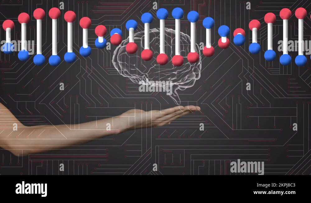Dna Structure And Human Brain Over A Hand Against Microprocessor Connections On Stock Video