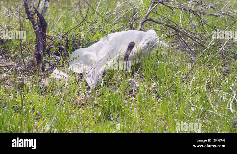 Trash in grass Stock Videos & Footage - HD and 4K Video Clips - Alamy