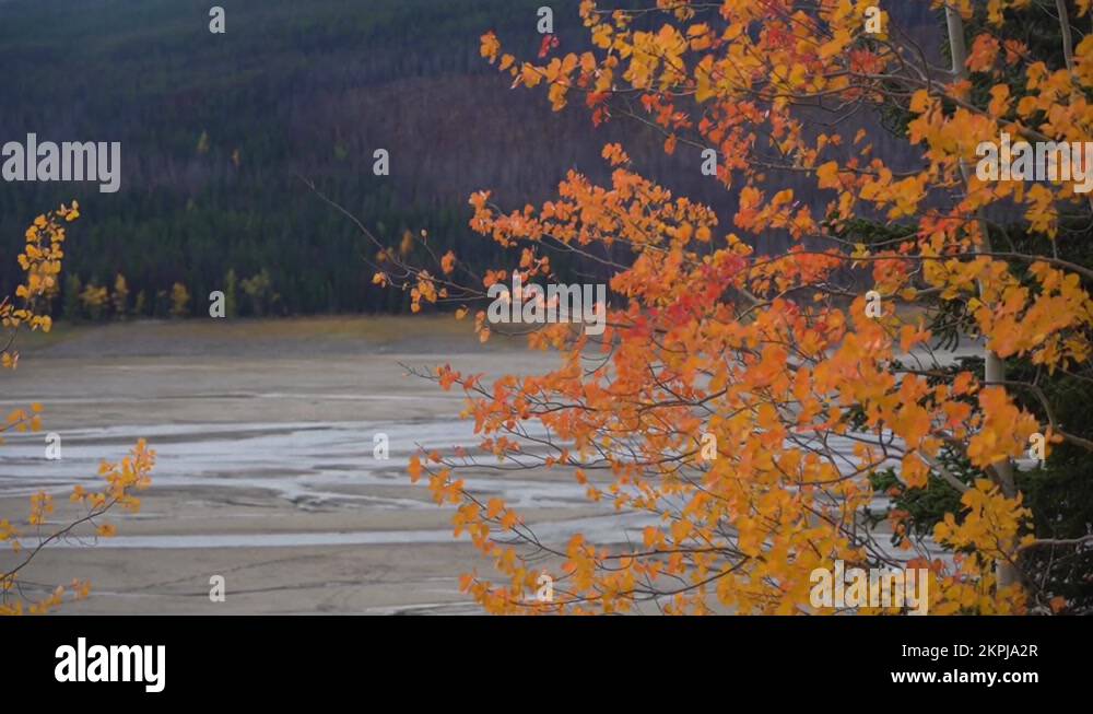 Mountain lake orange tree leaves Stock Videos & Footage - HD and 4K ...